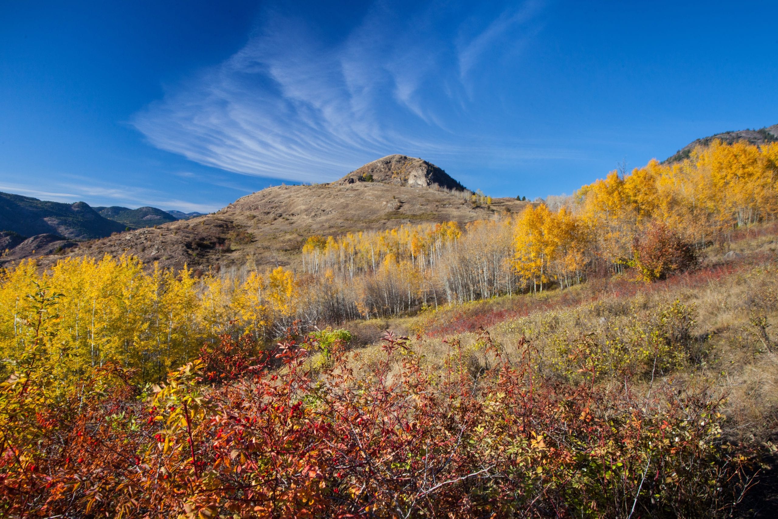 Securing Land - The Nature Trust of British Columbia