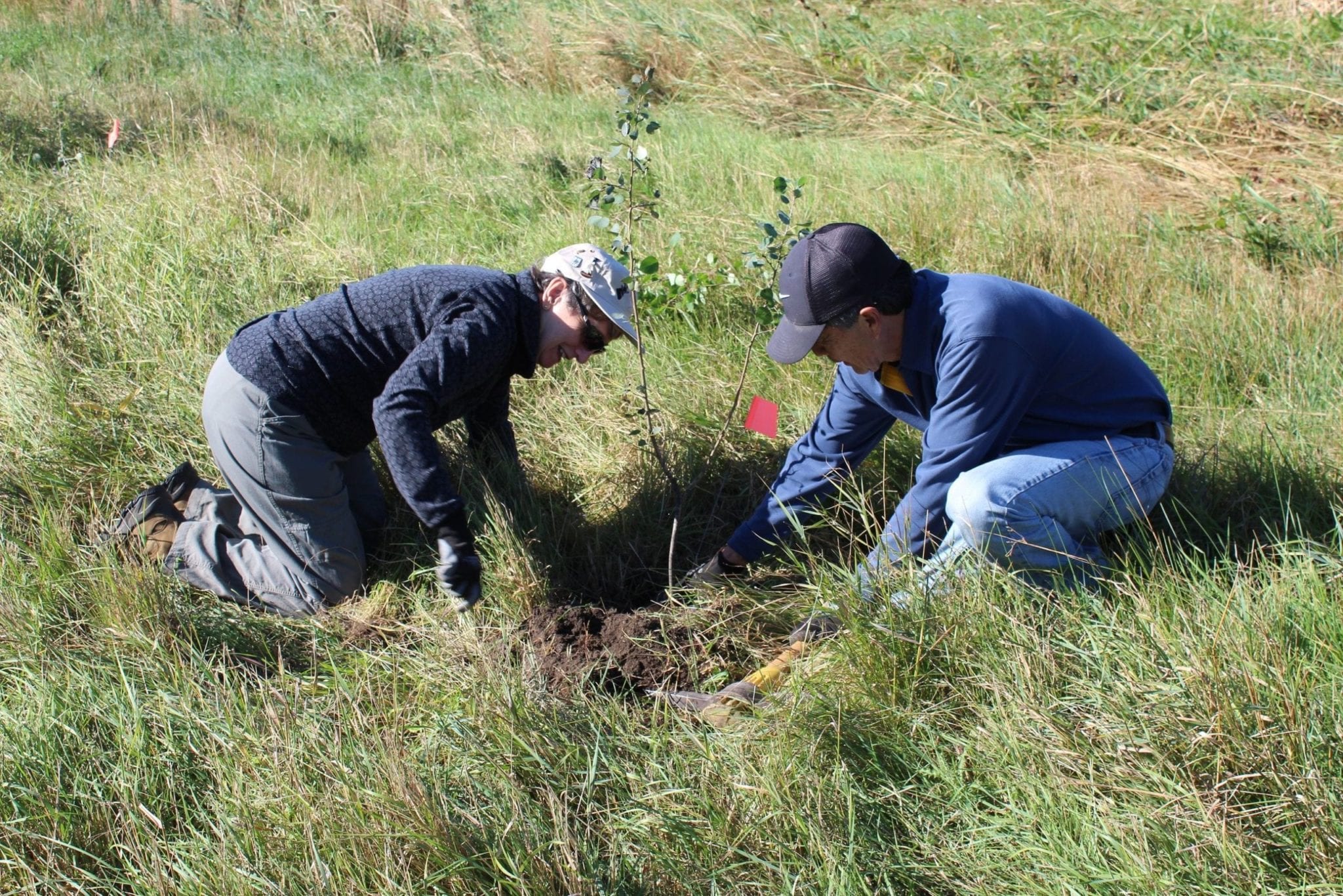 Okanagan Planting Events - The Nature Trust of British Columbia