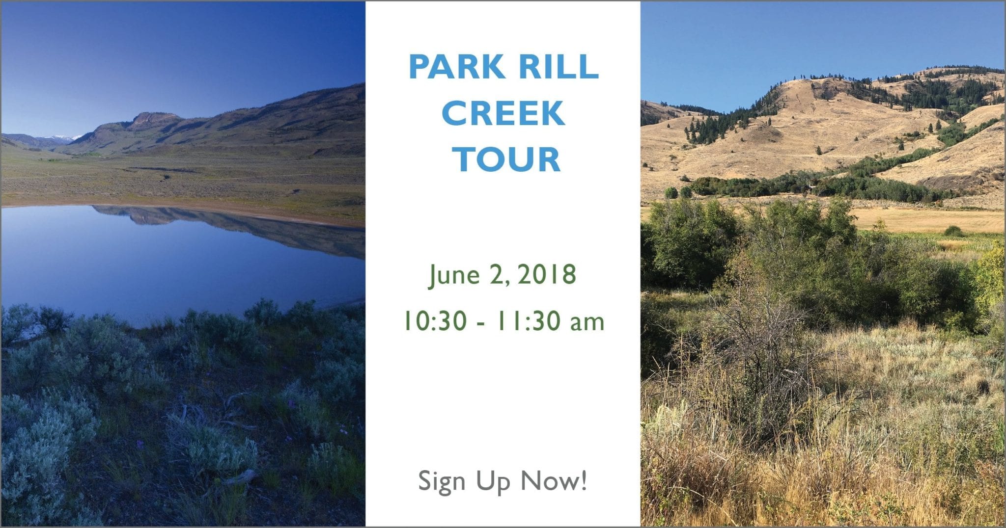 Walking Tour to Learn About Park Rill Creek - The Nature Trust of ...