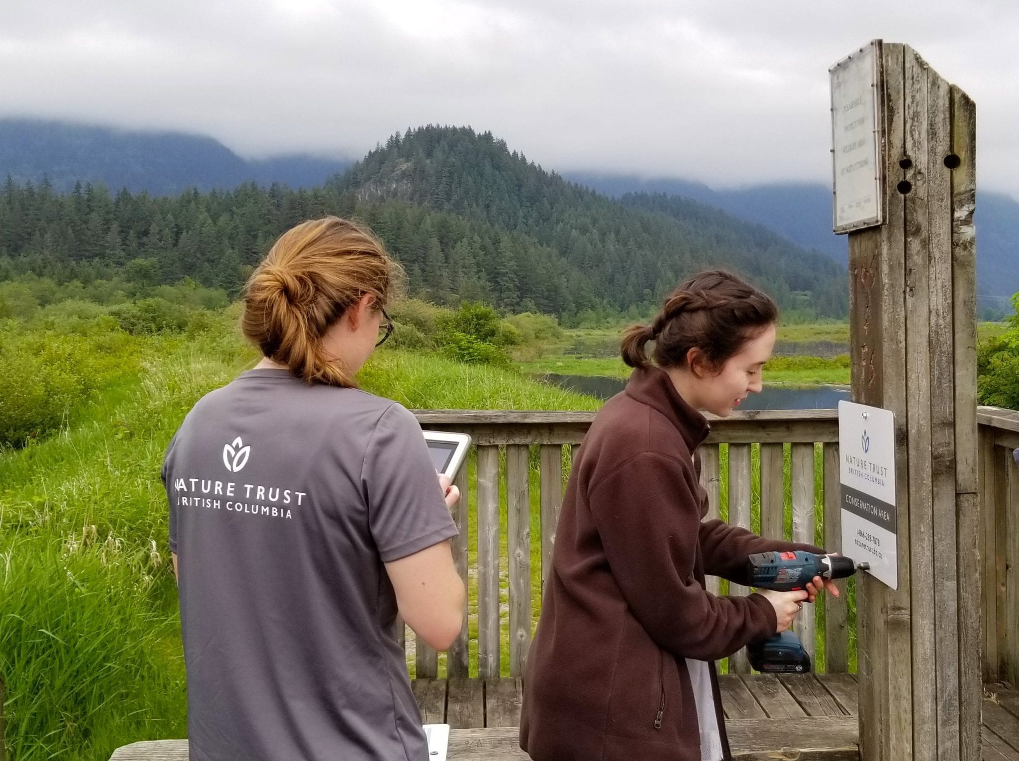 Bats and Bears in the Lower Mainland - The Nature Trust of British Columbia