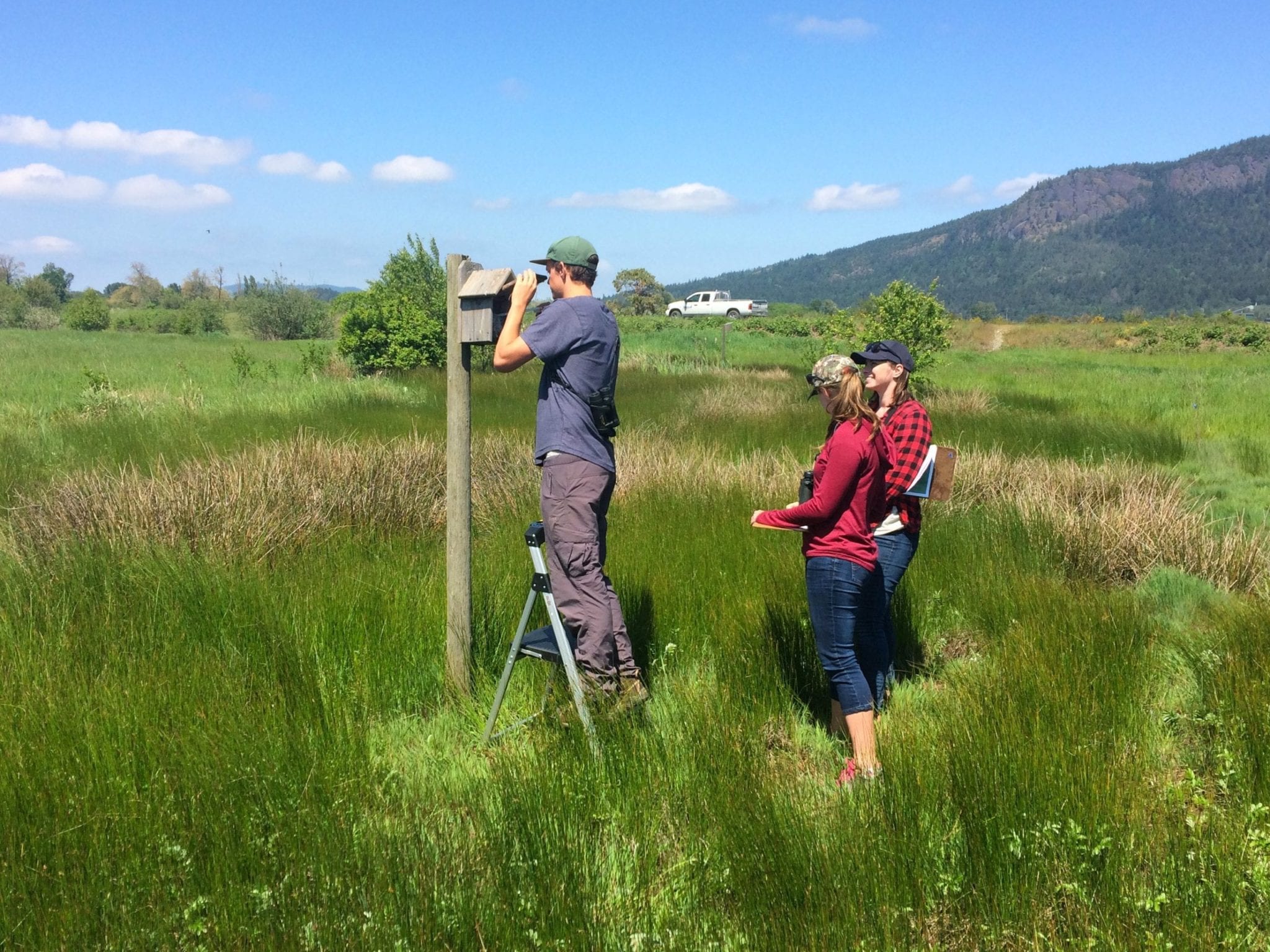 Watching Wildlife and Monitoring Estuaries on Vancouver Island - The ...