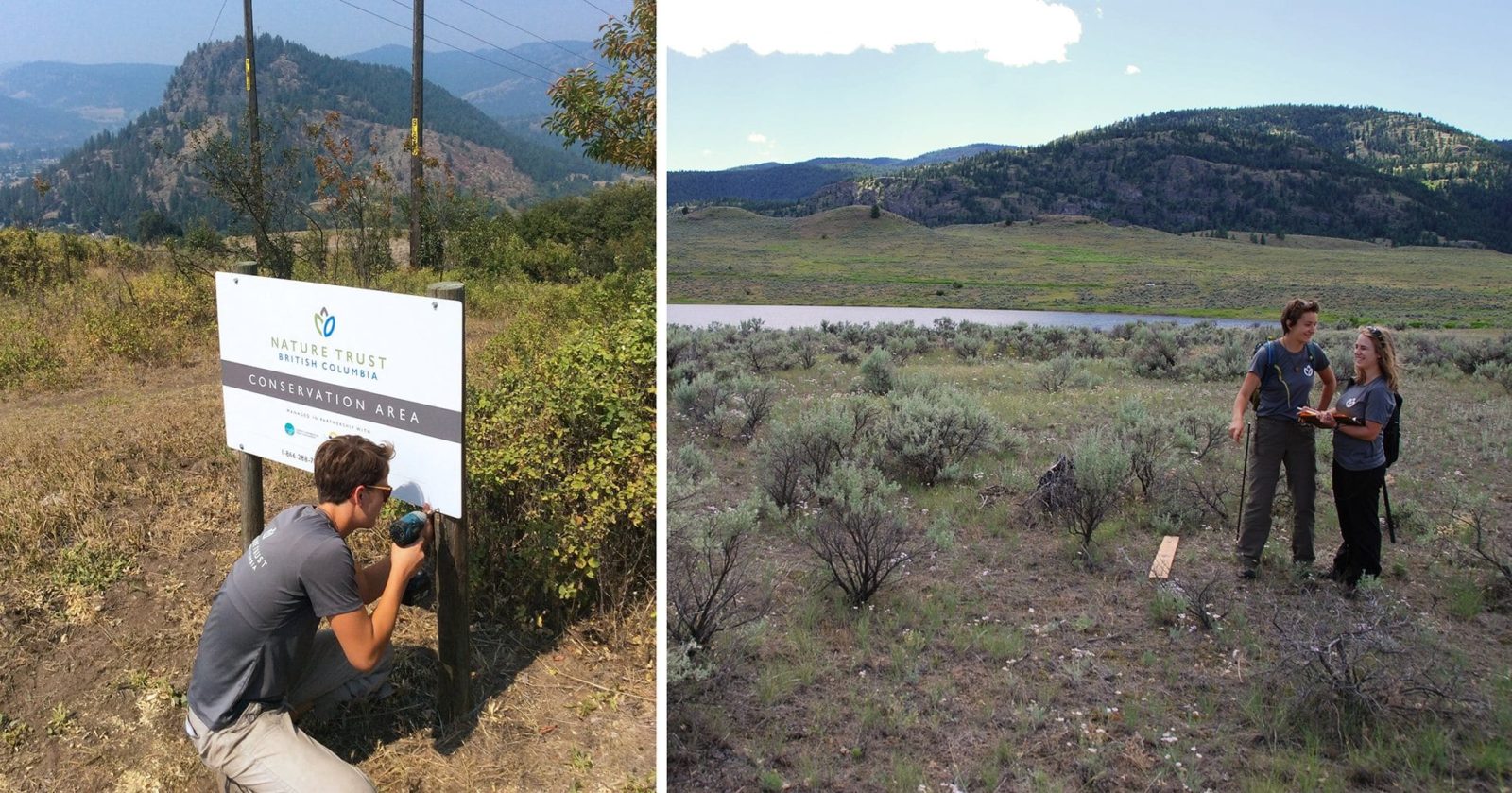 Burrowing Owls and Snakes in the Okanagan - The Nature Trust of British ... Burrowing Owls and Snakes in the Okanagan - The Nature Trust of British ...