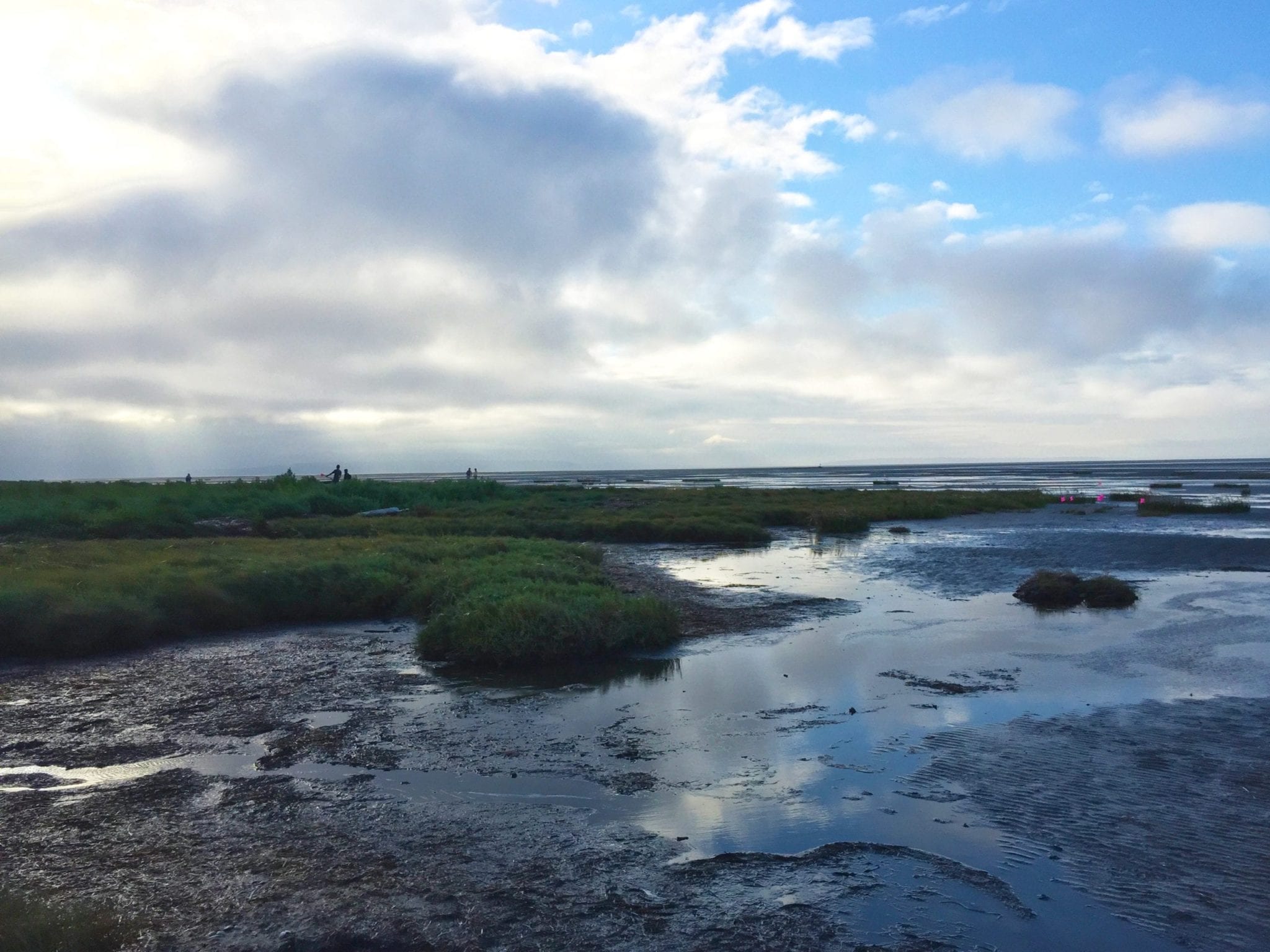 Take a Walk in Nature - Boundary Bay - The Nature Trust of British Columbia