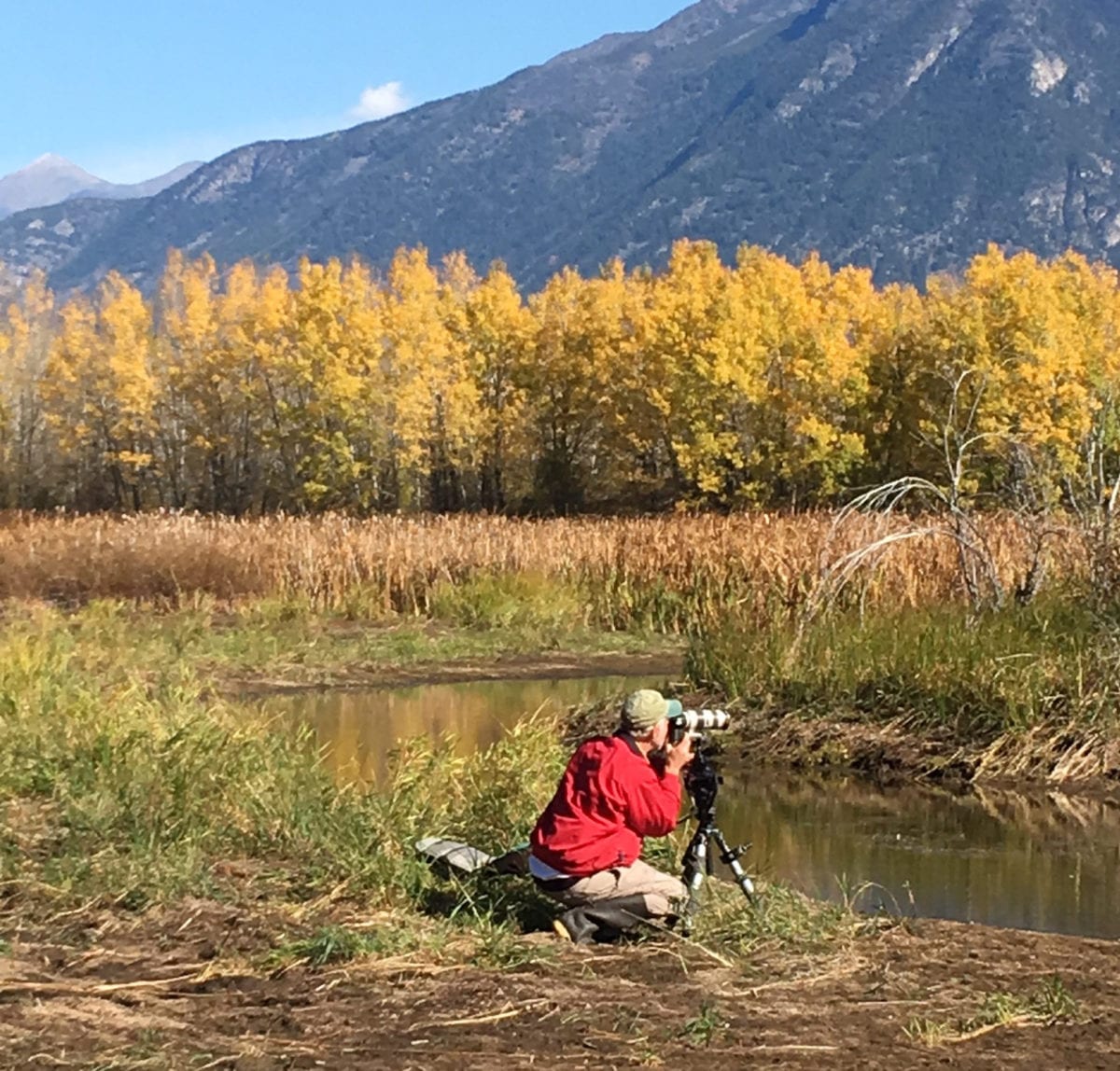 Conversations on Conservation with Graham Osborne - The Nature Trust of ...