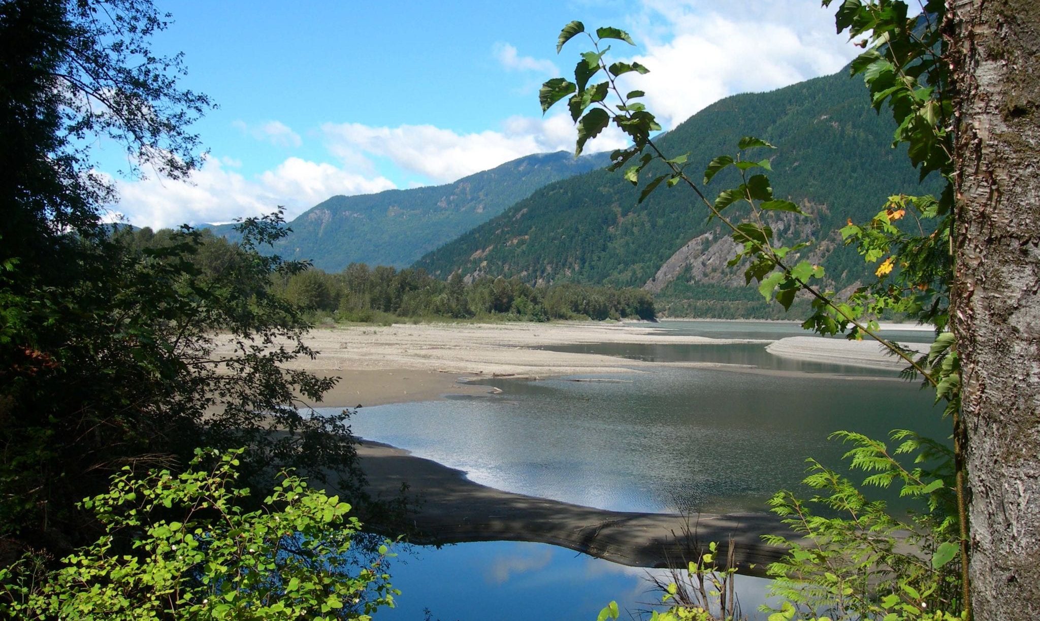 The Nicomen Slough: Restoring Balance in the Heart of the Fraser - The ...