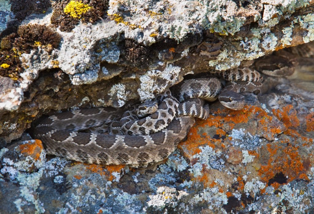 Take a Moment #3 Twin Lakes - The Nature Trust of British Columbia