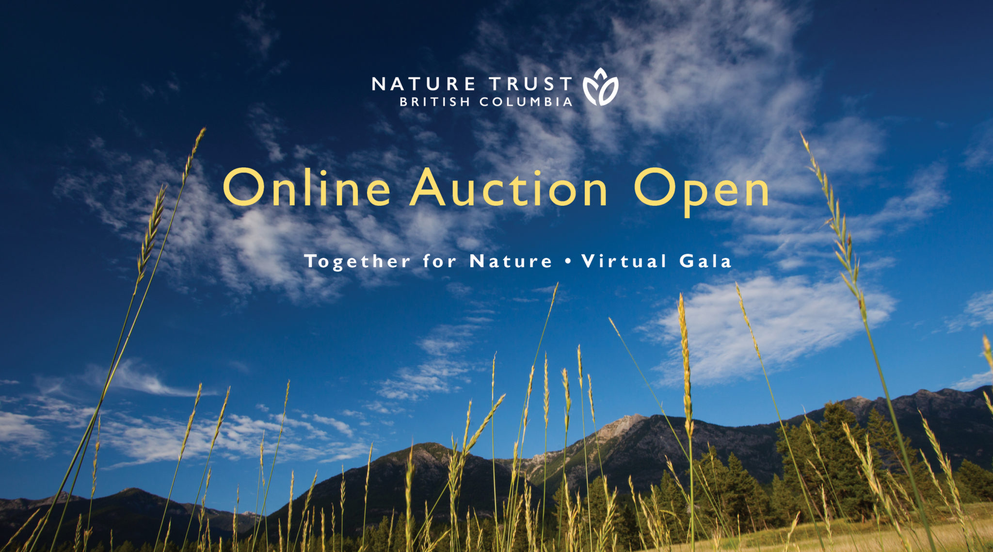 Exciting items in the online auction - The Nature Trust of British Columbia