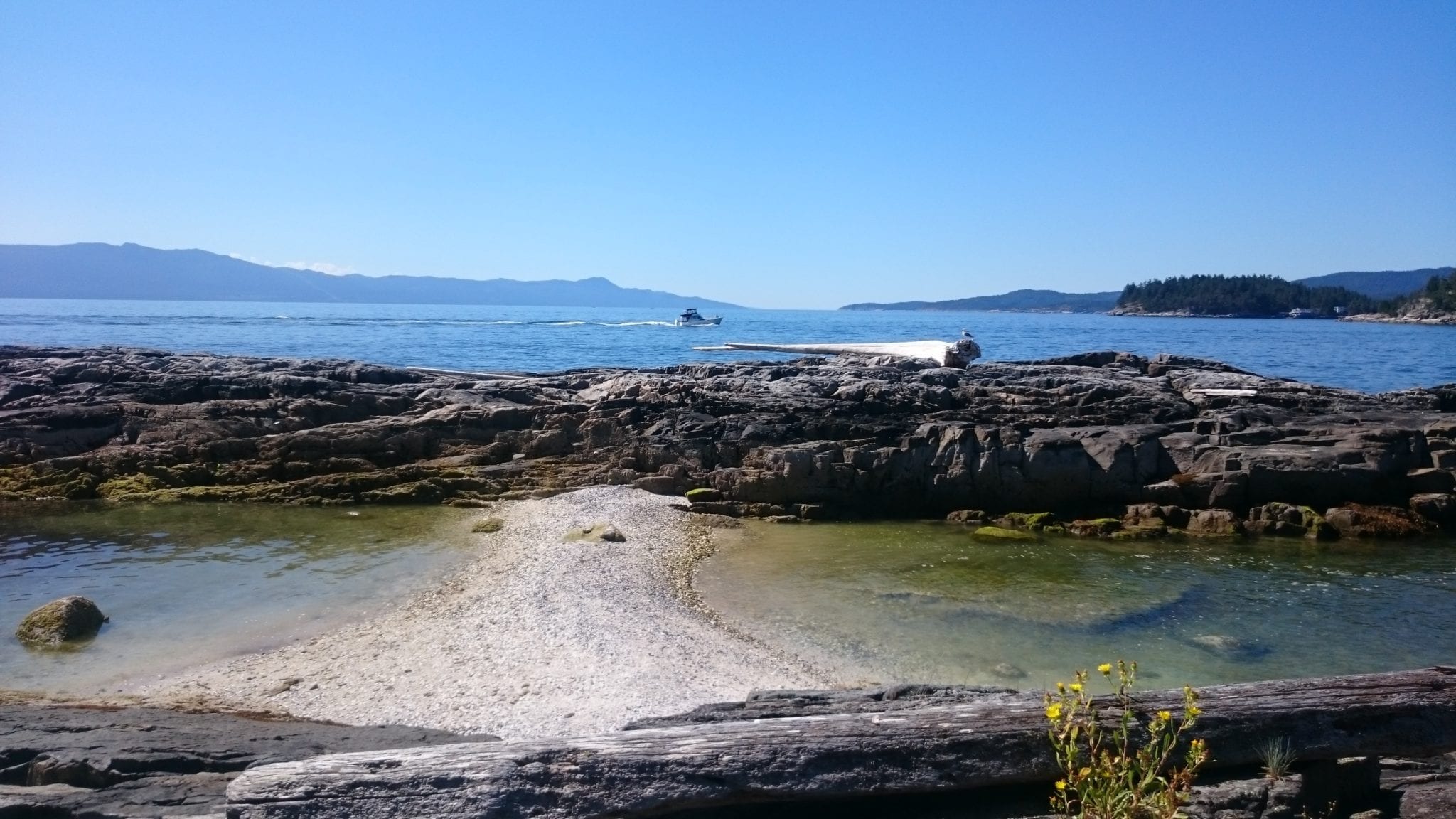 Conversations on Conservation with Trisha and Carolynn Beaty - The ...