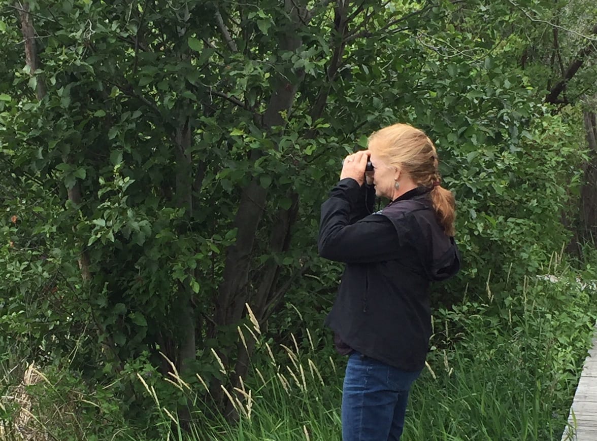 Conversations on Conservation with Trisha and Carolynn Beaty - The ...