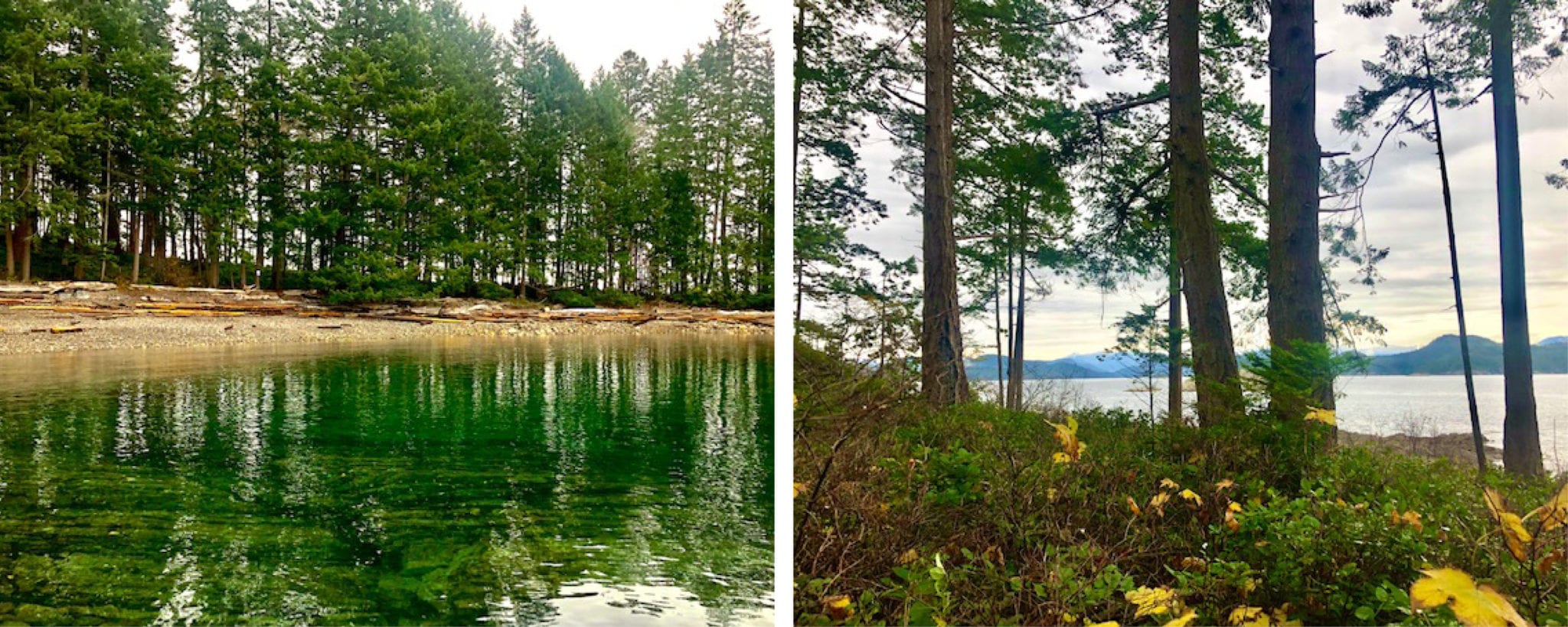 A Treasured Island - The Nature Trust of British Columbia