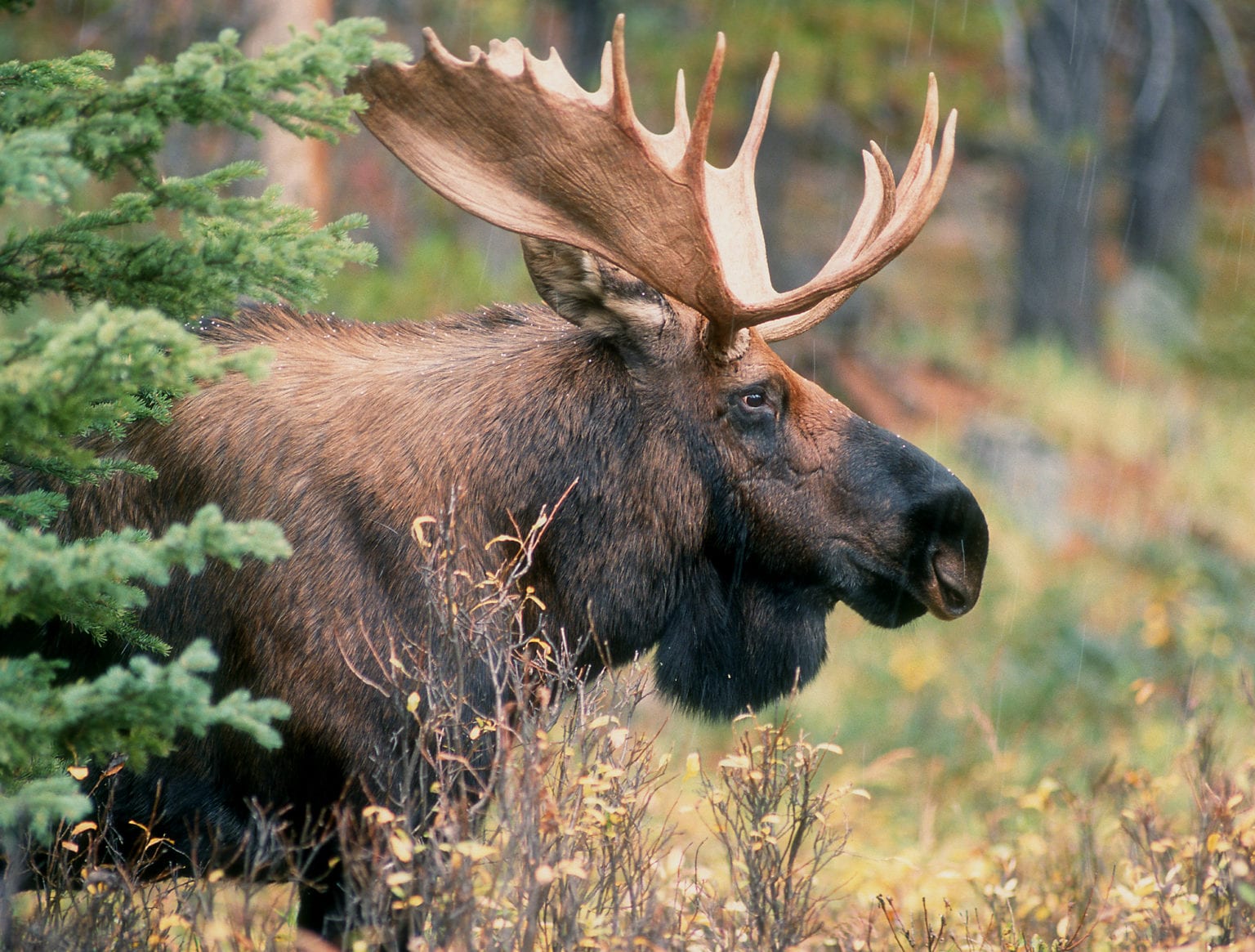 Ten People, One Lasting Legacy in the Land - The Nature Trust of ...