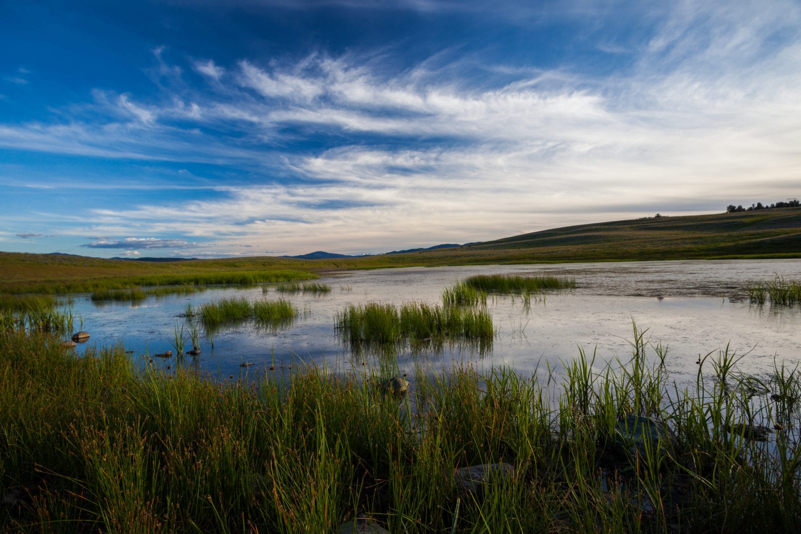 Saving Precious Grasslands - The Nature Trust of British Columbia