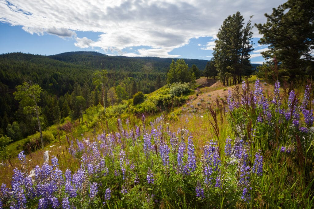 Saving Precious Grasslands - The Nature Trust of British Columbia