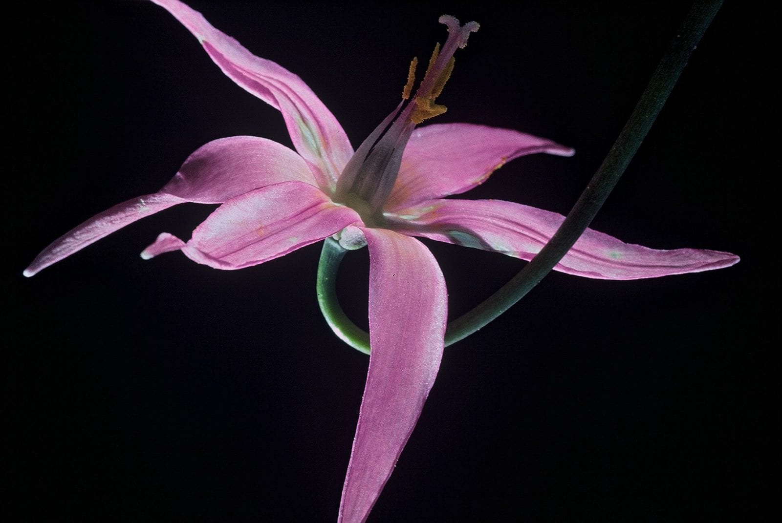 Four exceptional BC conservation properties - The Nature Trust of ...