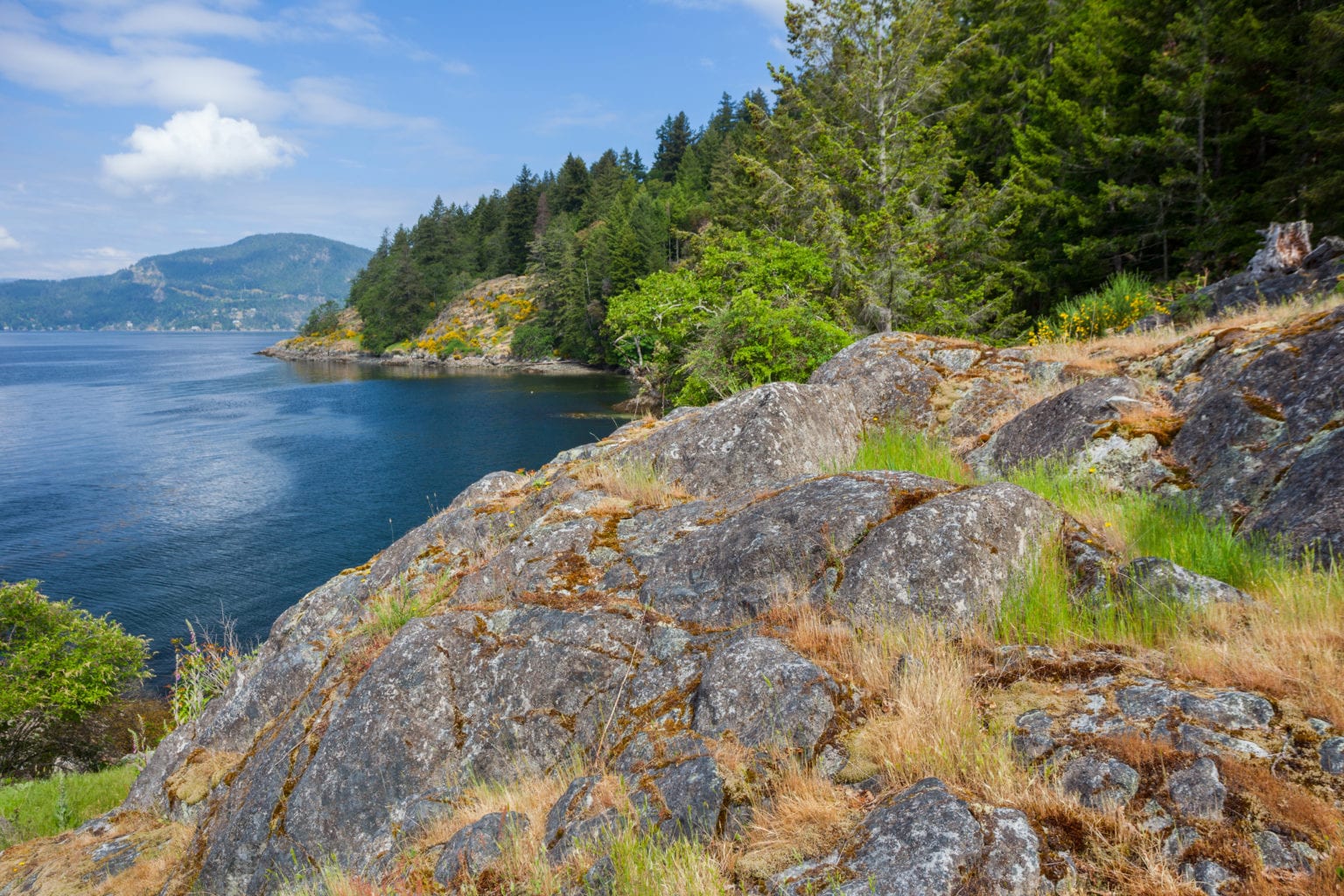 Four exceptional BC conservation properties - The Nature Trust of ...