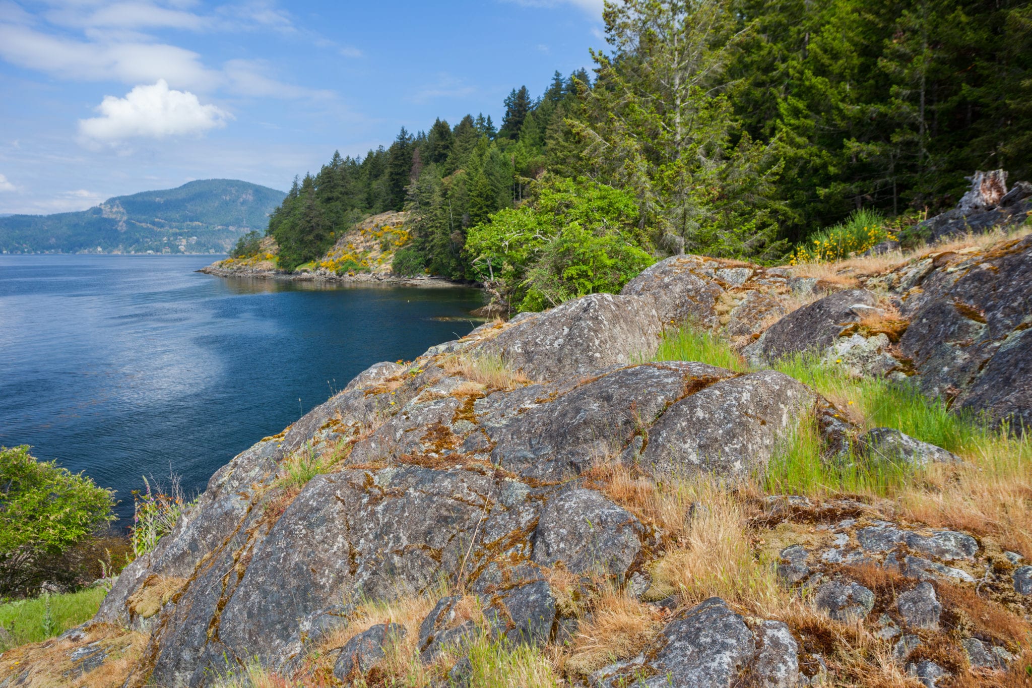 Four exceptional BC conservation properties - The Nature Trust of ...
