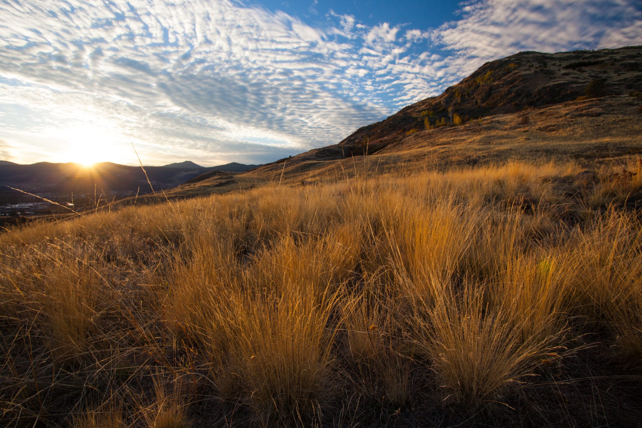 Grand Forks - The Nature Trust of British Columbia