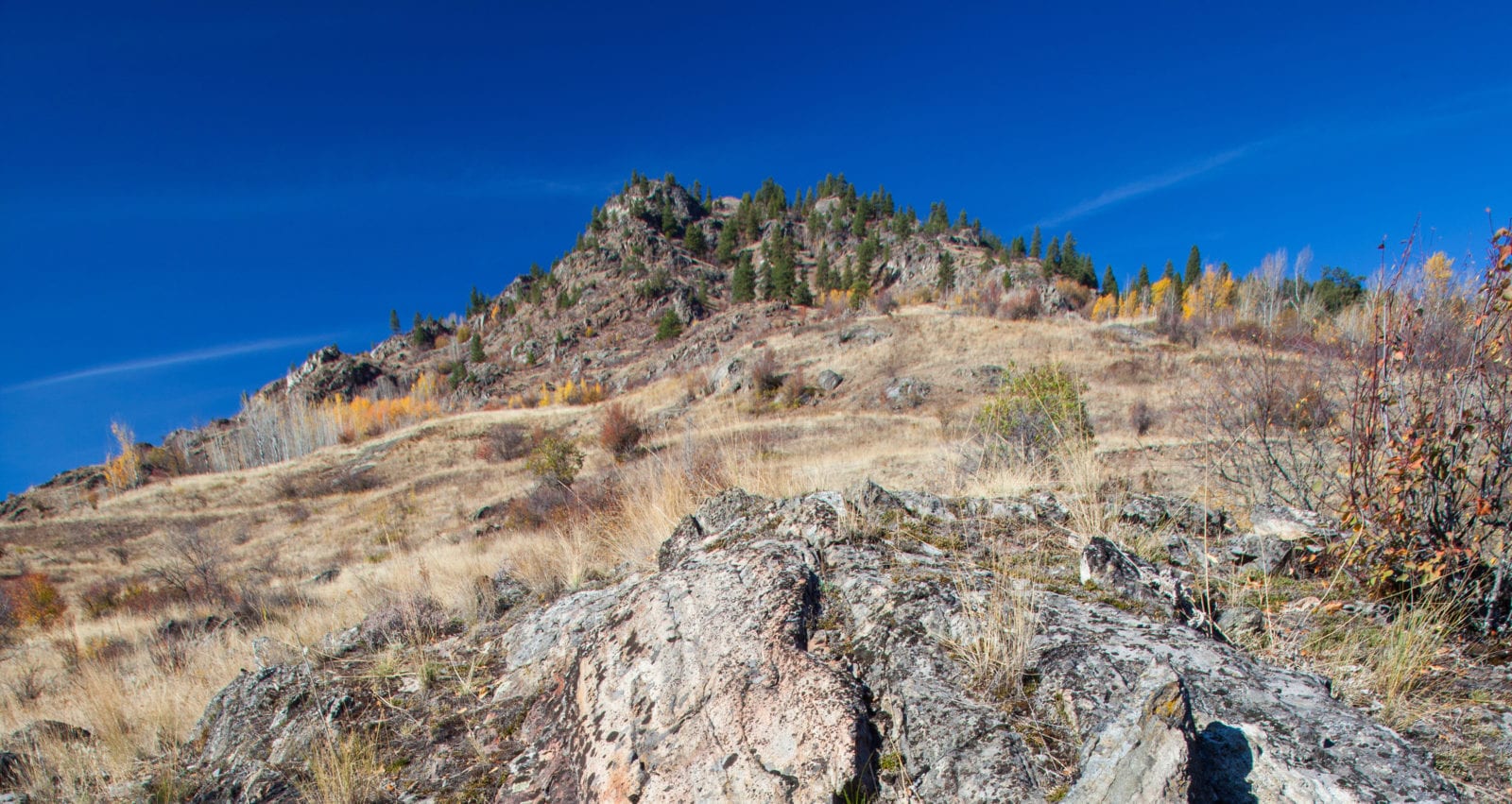 Grand Forks - The Nature Trust of British Columbia