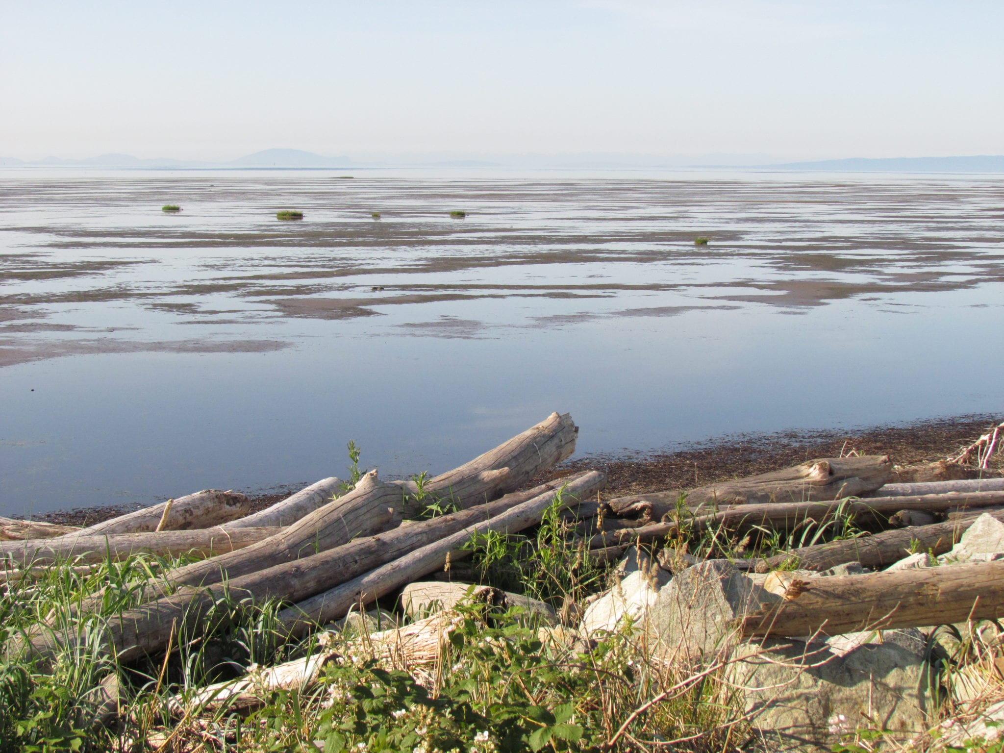Legacy Landscapes - Boundary Bay - The Nature Trust of British Columbia