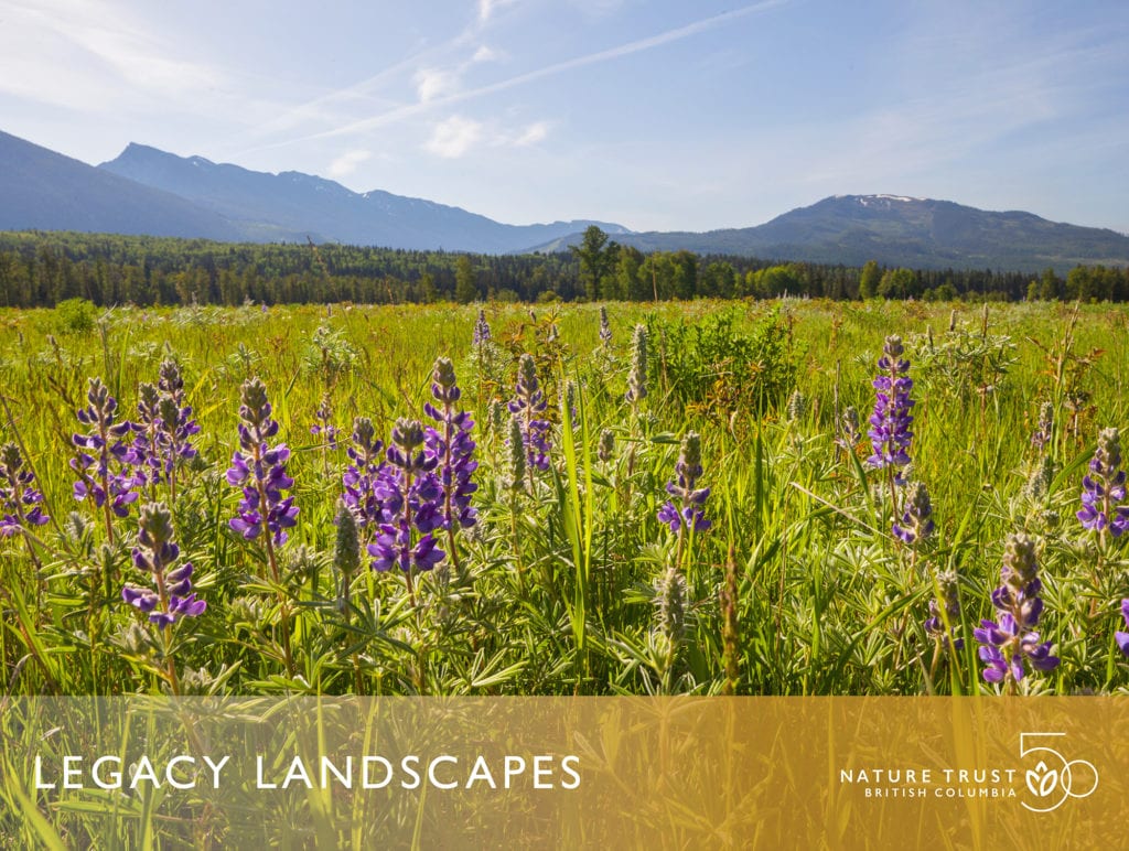 Legacy Landscapes - Big Ranch - The Nature Trust of British Columbia