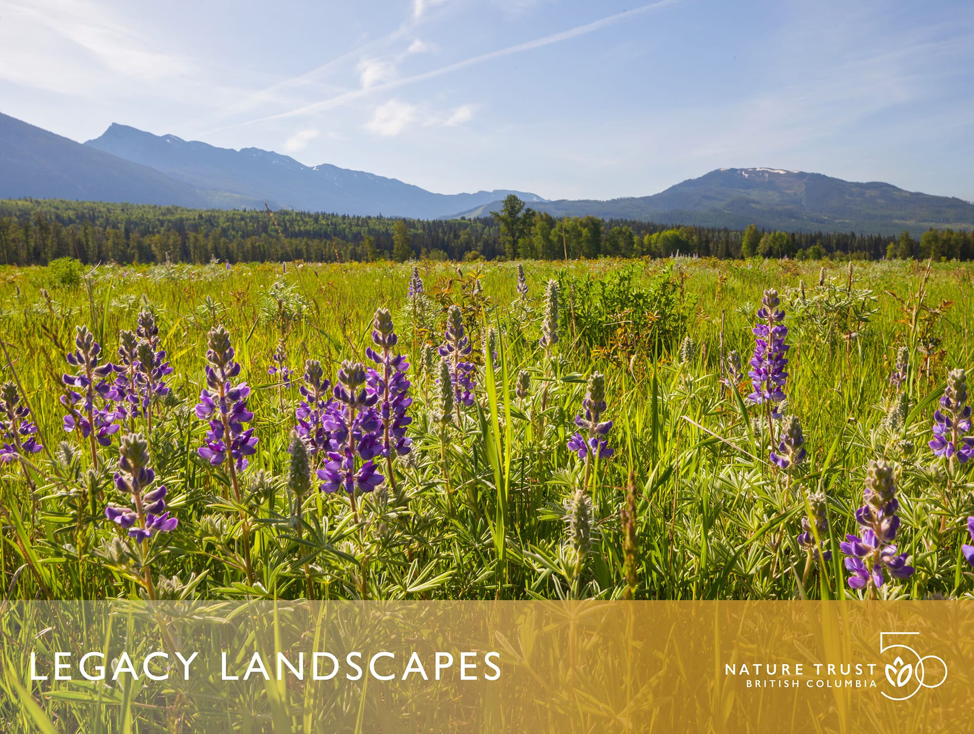 Legacy Landscapes - Big Ranch - The Nature Trust of British Columbia