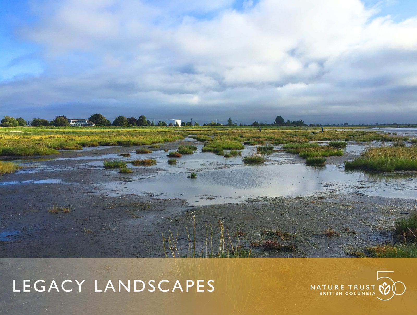 Legacy Landscapes - Boundary Bay - The Nature Trust of British Columbia