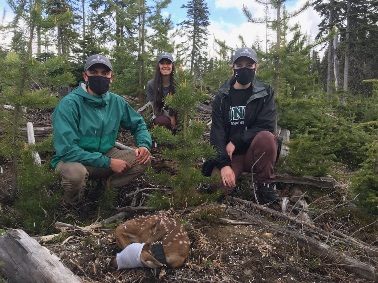 Okanagan Conservation Field Crew Assists with Southern Interior Mule ...