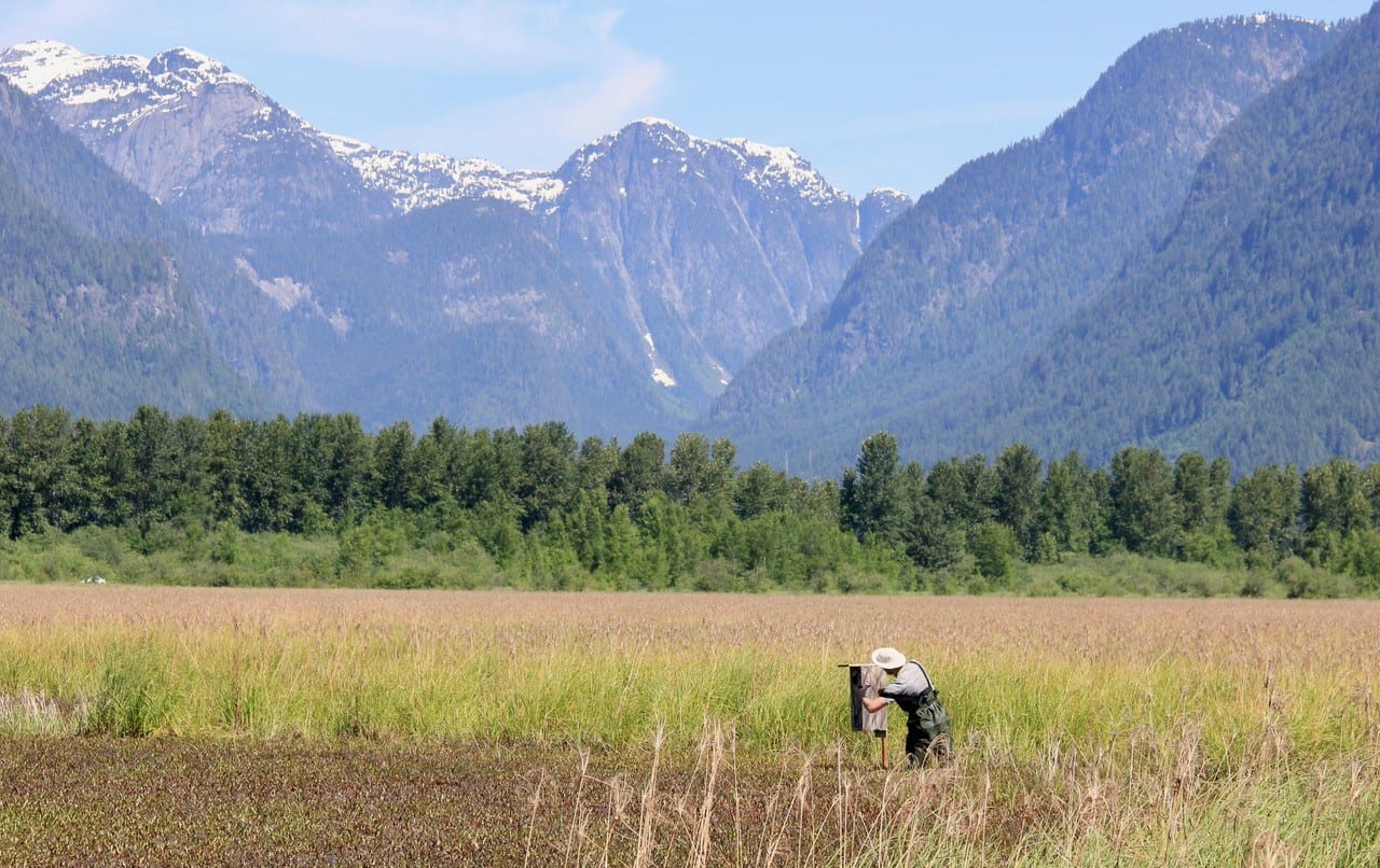PittWaterfowlers The Unsung Heroes of Waterfowl Conservation - BC ...