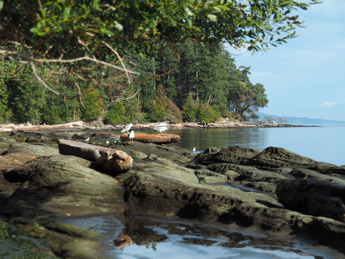 Galiano Island - Cable Bay - The Nature Trust of British Columbia