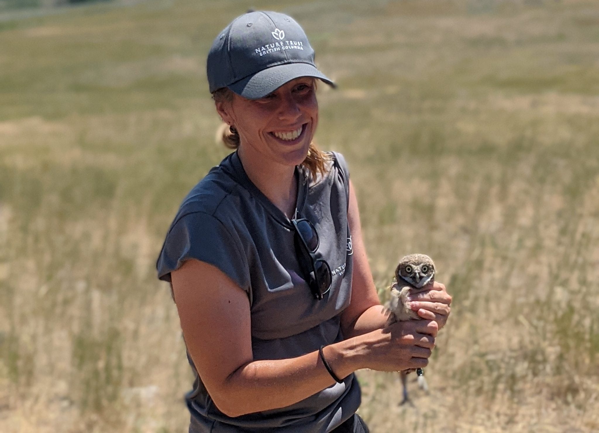 Banding Brings Burrowing Owls Back from the Brink - The Nature Trust of ...