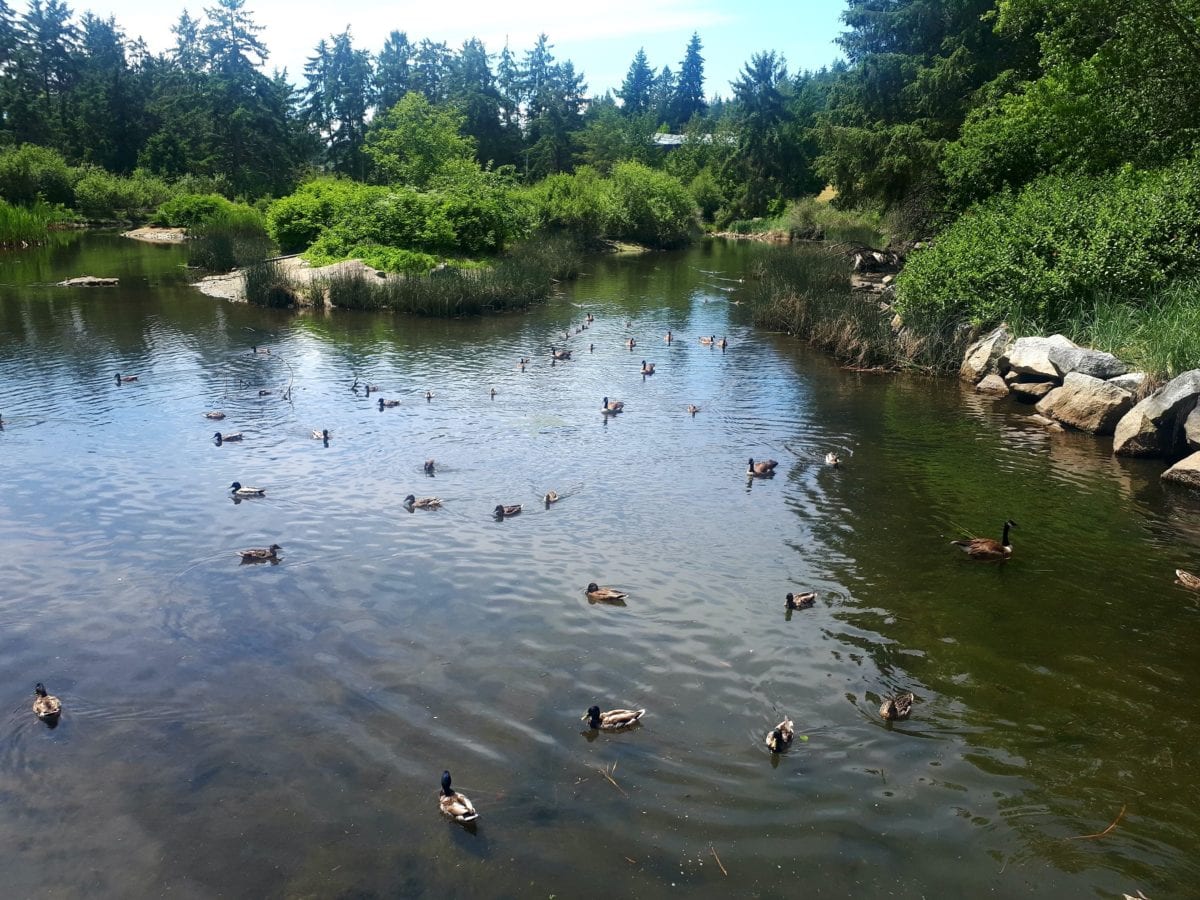 The Lower Mainland Conservation Field Crew's Sunshine Coast Adventures ...