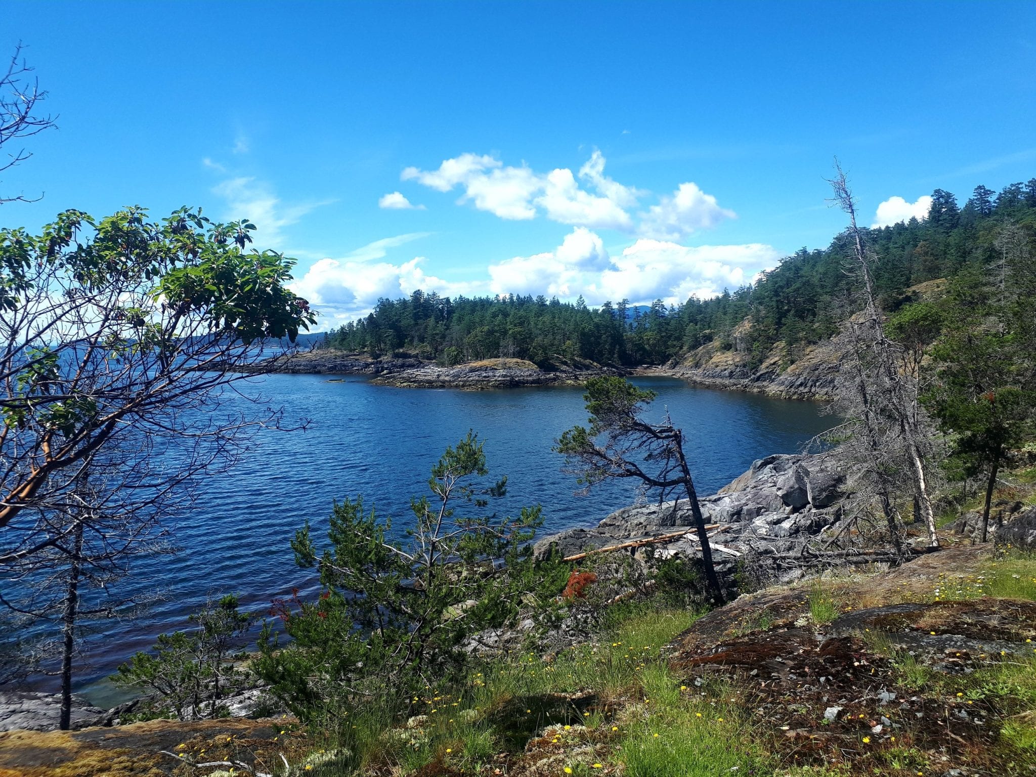 The Lower Mainland Conservation Field Crew's Sunshine Coast Adventures ...