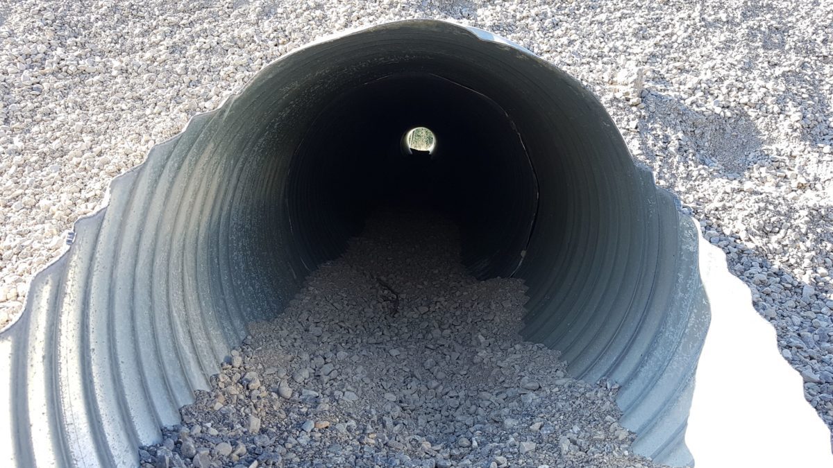 Badger Culverts in Columbia River Edgewater - The Nature Trust of ...