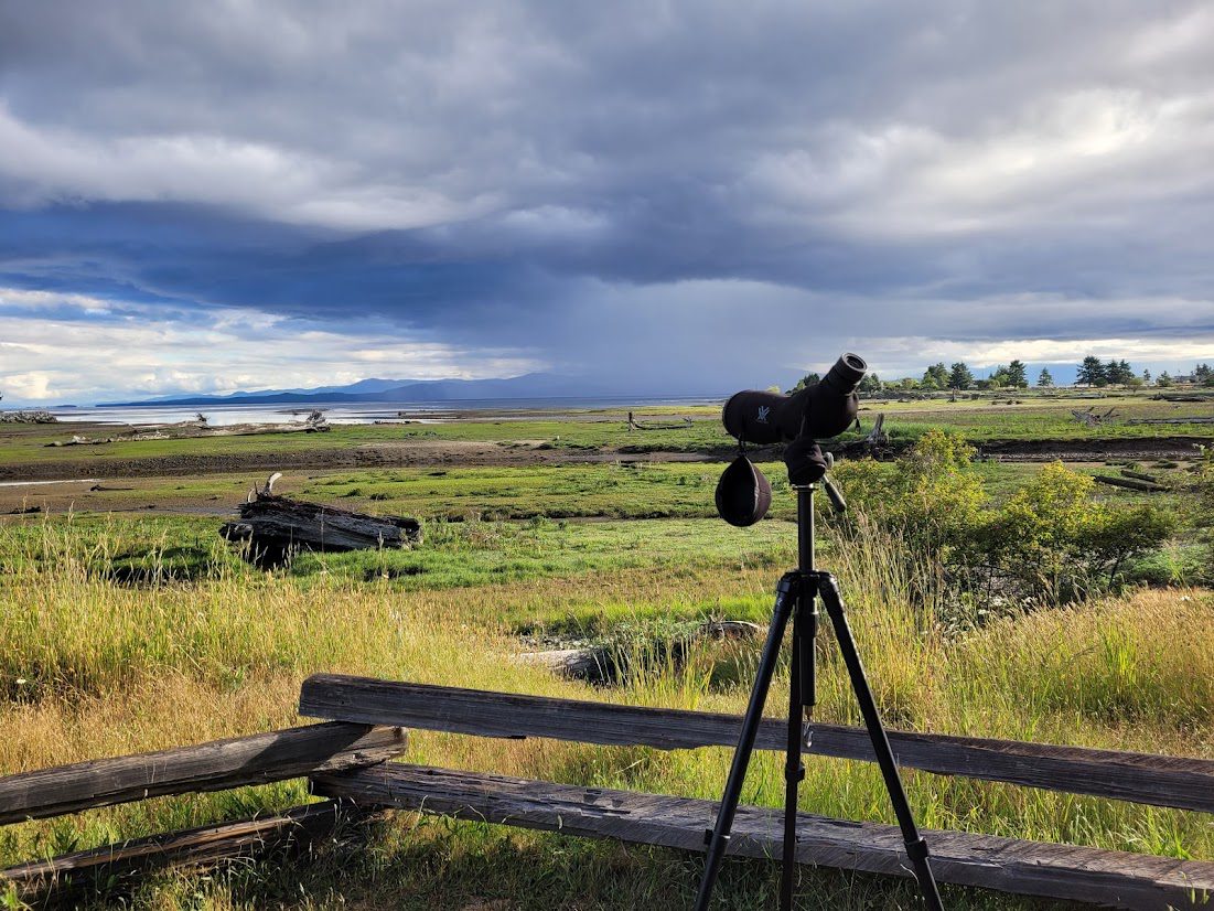 Shoal Creek Estuary - The Nature Trust of British Columbia