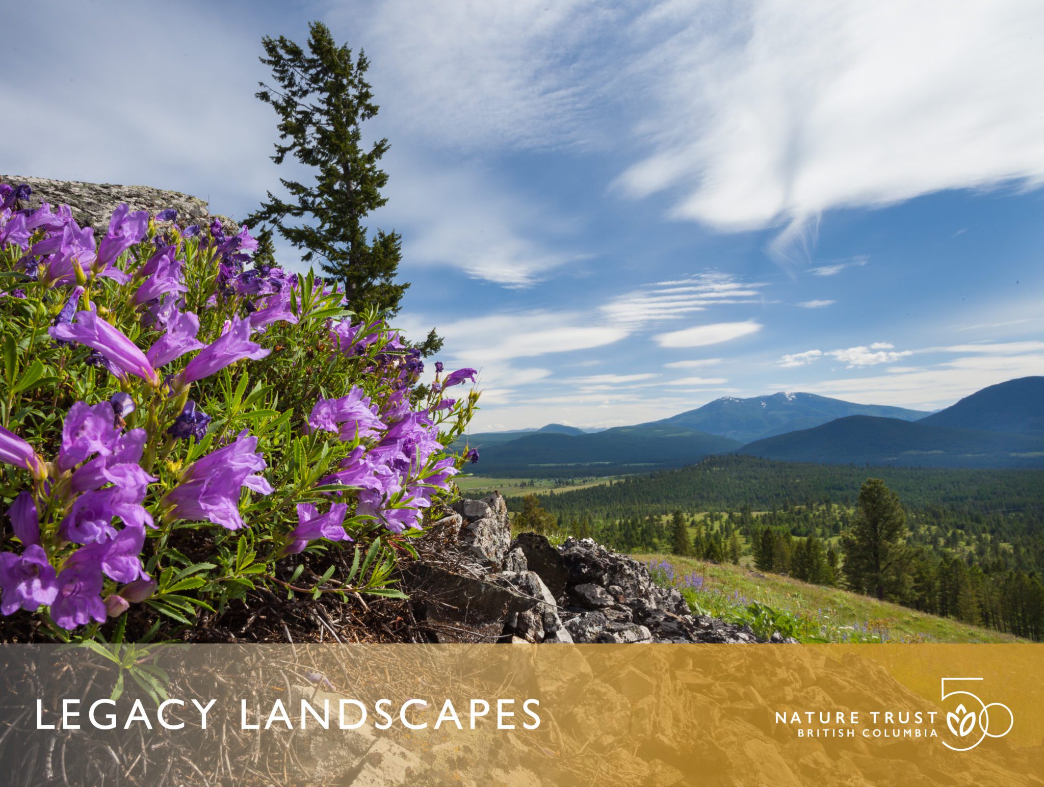 Legacy Landscapes - Wycliffe Wildlife Corridor - The Nature Trust of ...