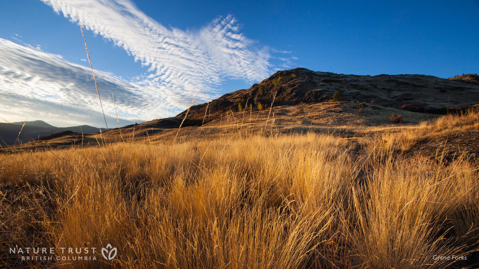 Nature Landscapes Wallpaper - The Nature Trust of British Columbia