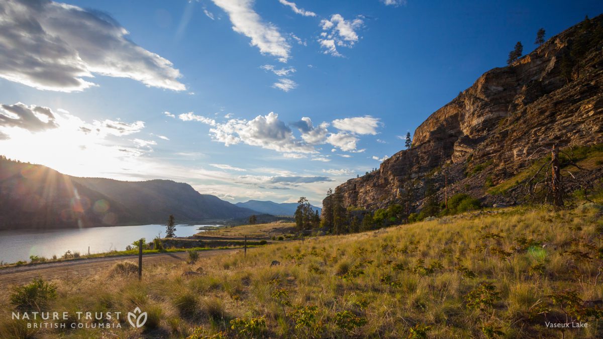Nature Landscapes Wallpaper - The Nature Trust of British Columbia