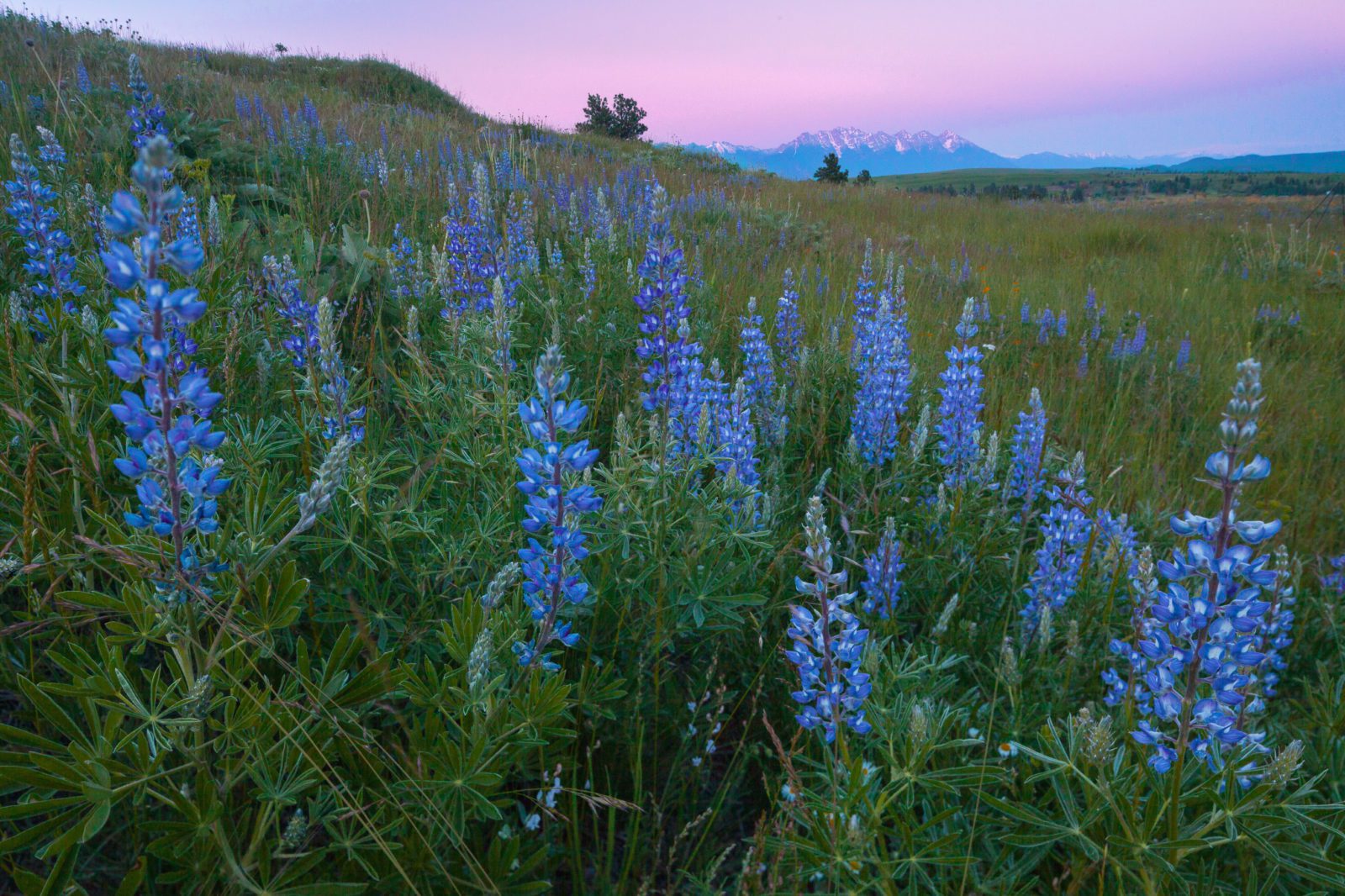 Legacy Landscapes - Wycliffe Wildlife Corridor - The Nature Trust of ...