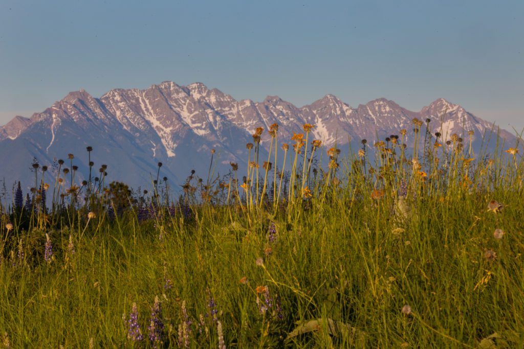Legacy Landscapes - Wycliffe Wildlife Corridor - The Nature Trust of ...
