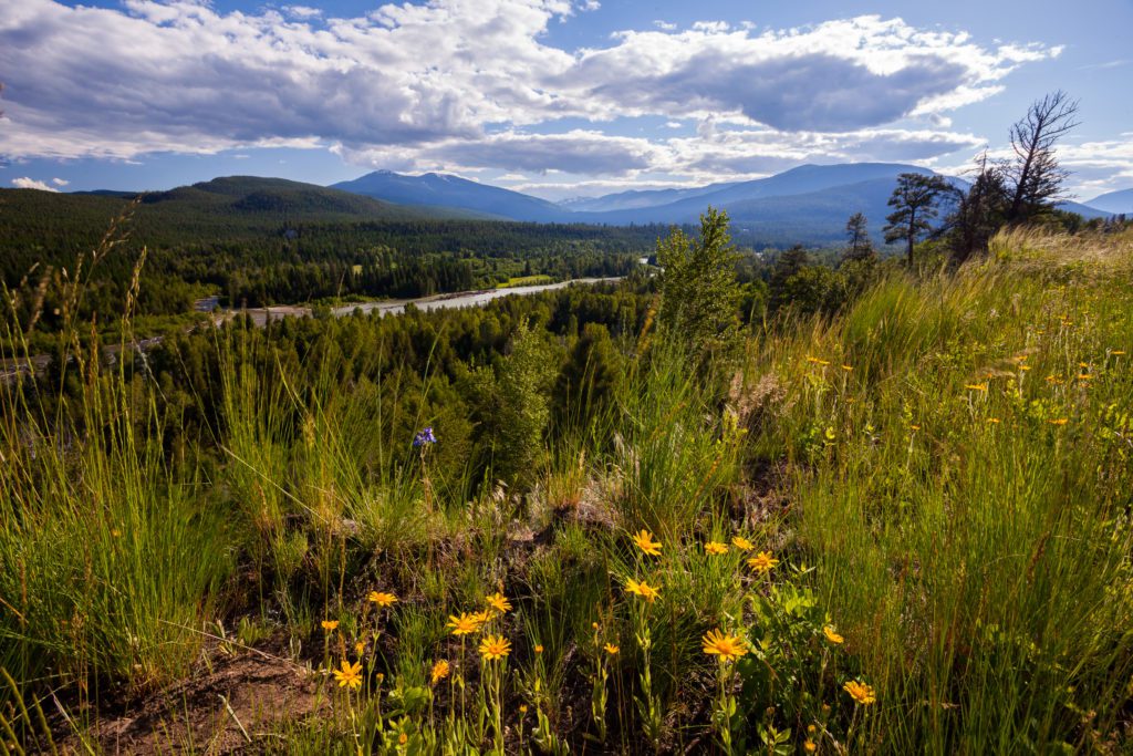 Legacy Landscapes - Wycliffe Wildlife Corridor - The Nature Trust of ...