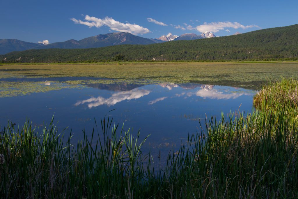 Legacy Landscapes - Columbia River Edgewater - The Nature Trust of ...