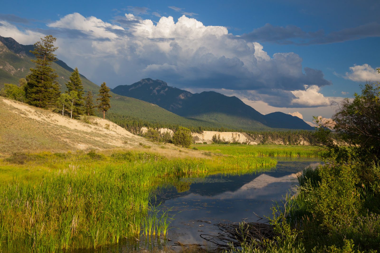 Legacy Landscapes - Columbia River Edgewater - The Nature Trust of ...