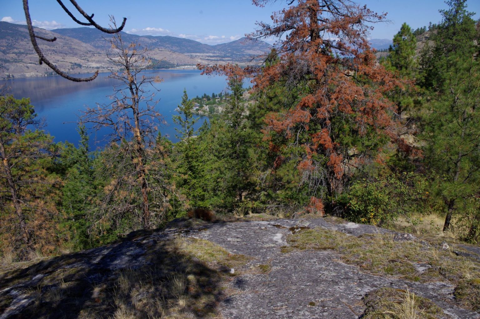 Skaha Lake Eastside – Lot 1 - The Nature Trust of British Columbia