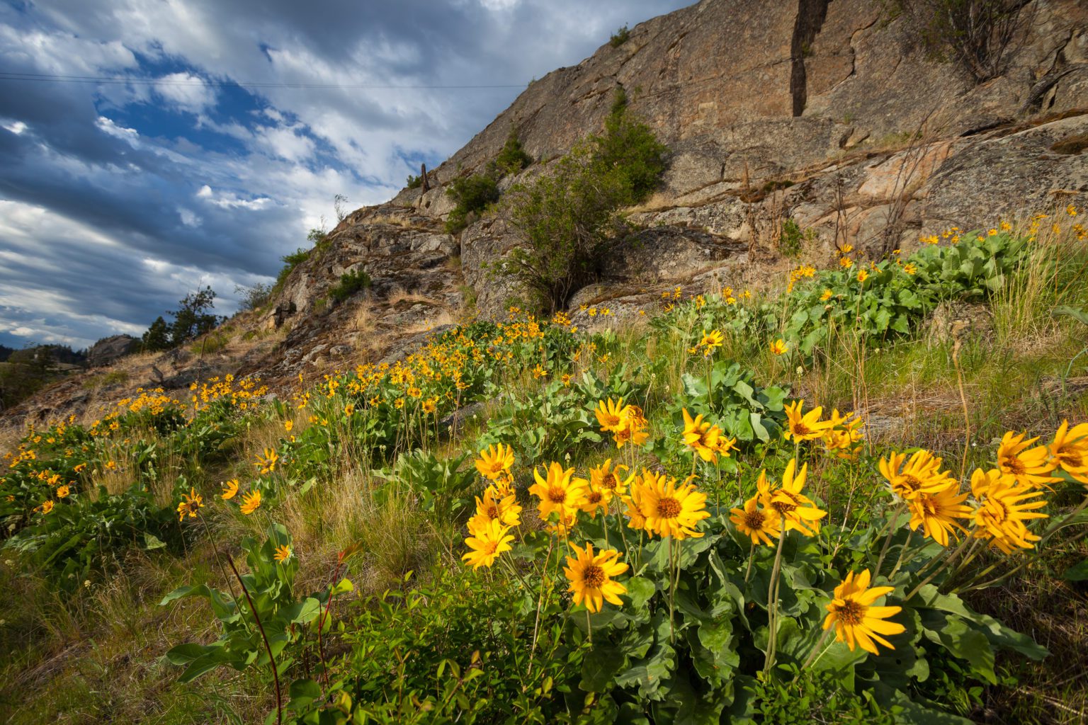 Skaha Lake Eastside – Lot 1 - The Nature Trust of British Columbia