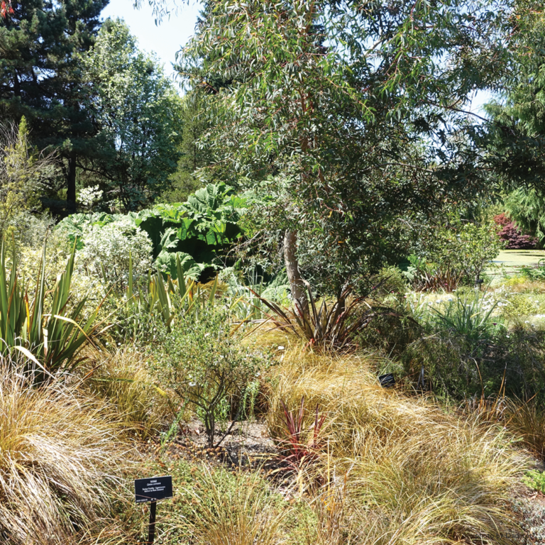 Four ways to increase biodiversity in your own backyard - The Nature ...