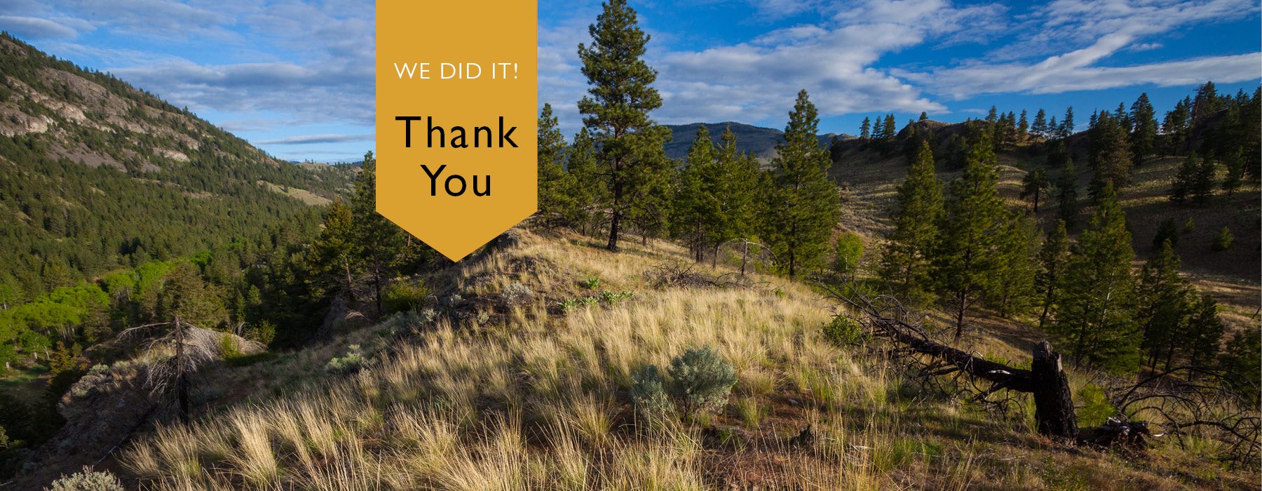 White Lake Basin Biodiversity Ranch – Park Rill Creek DL 1995 - The ...