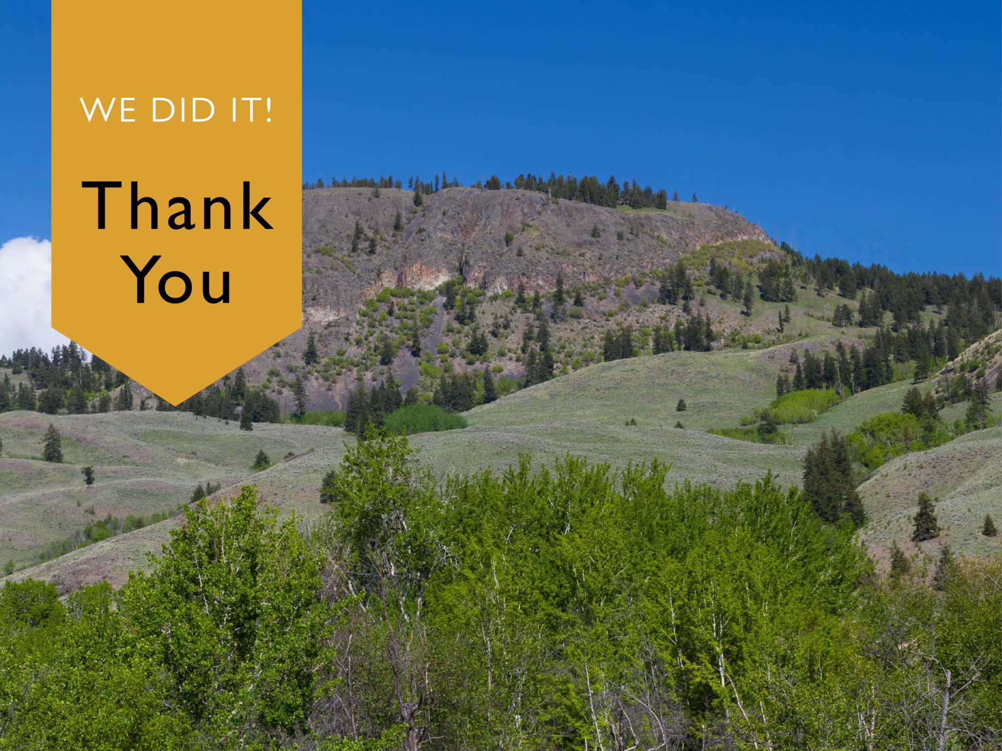 Park Rill Creek Infill West - The Nature Trust of British Columbia