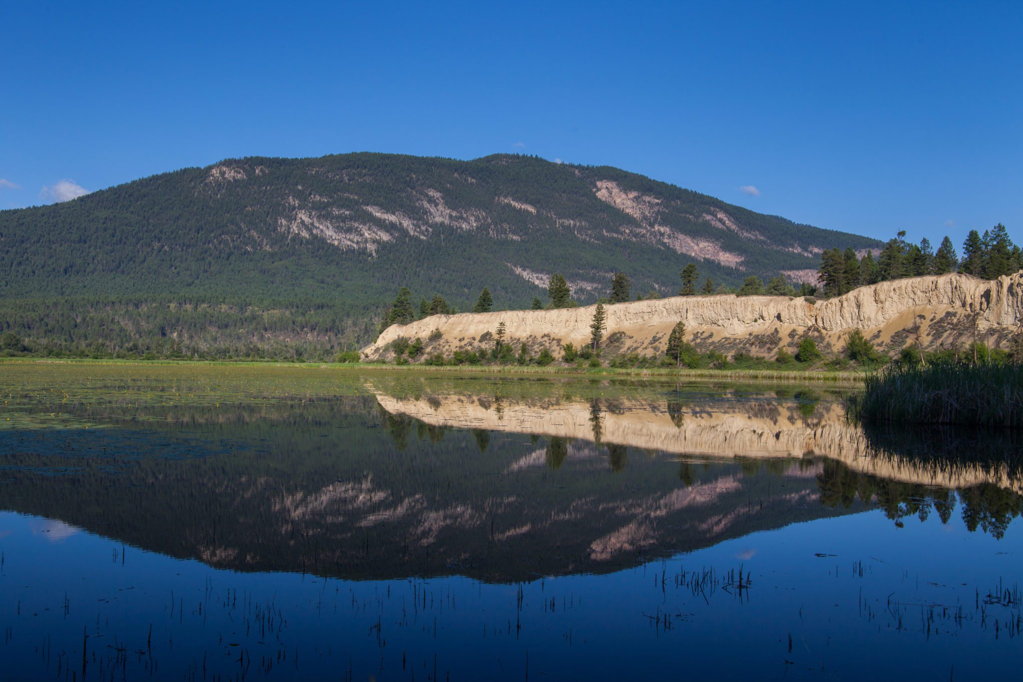 How Communities Can Take Part in Conservation - The Nature Trust of ...