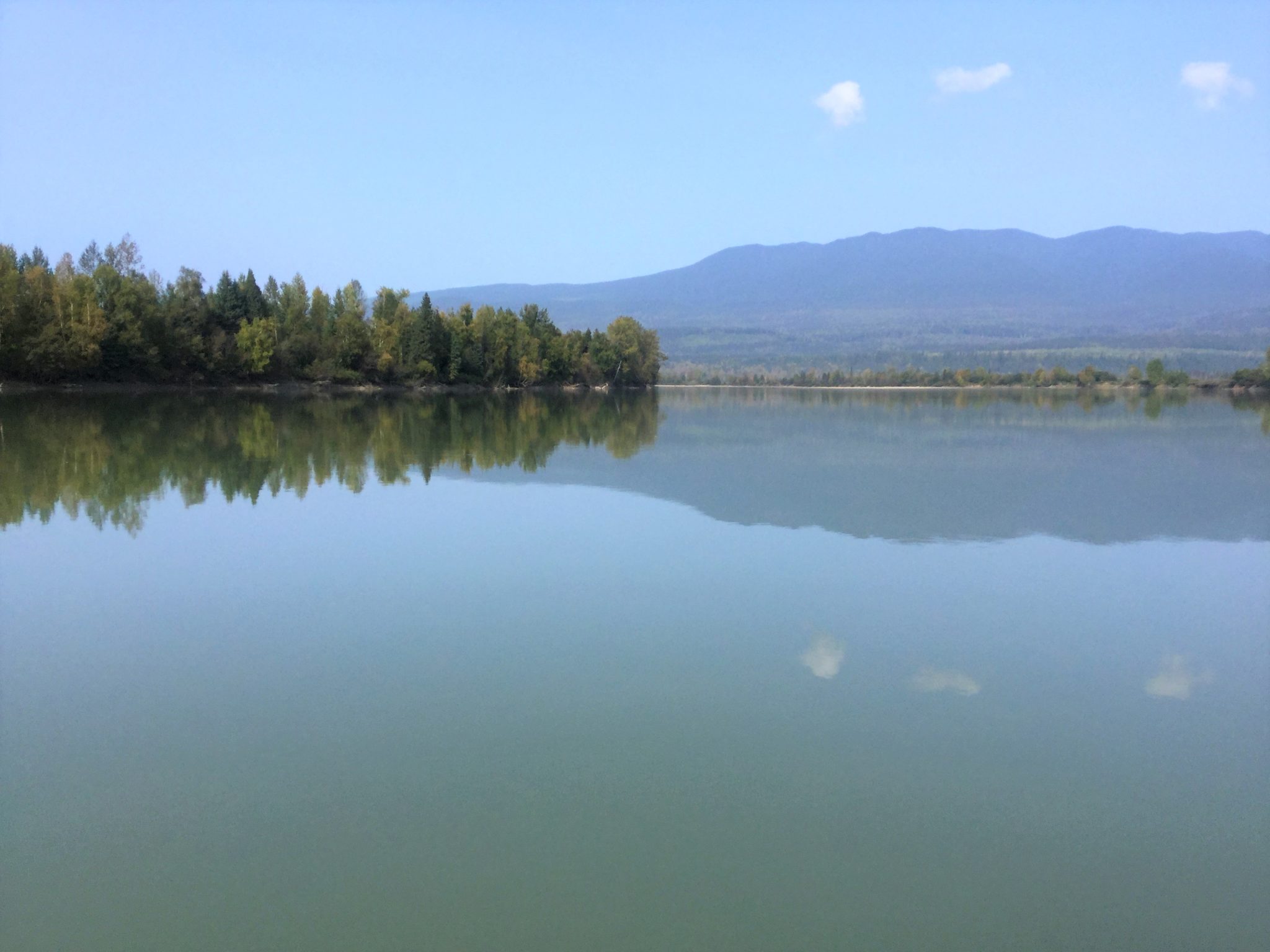 Meteor Lake Wetland - Bog - The Nature Trust of British Columbia