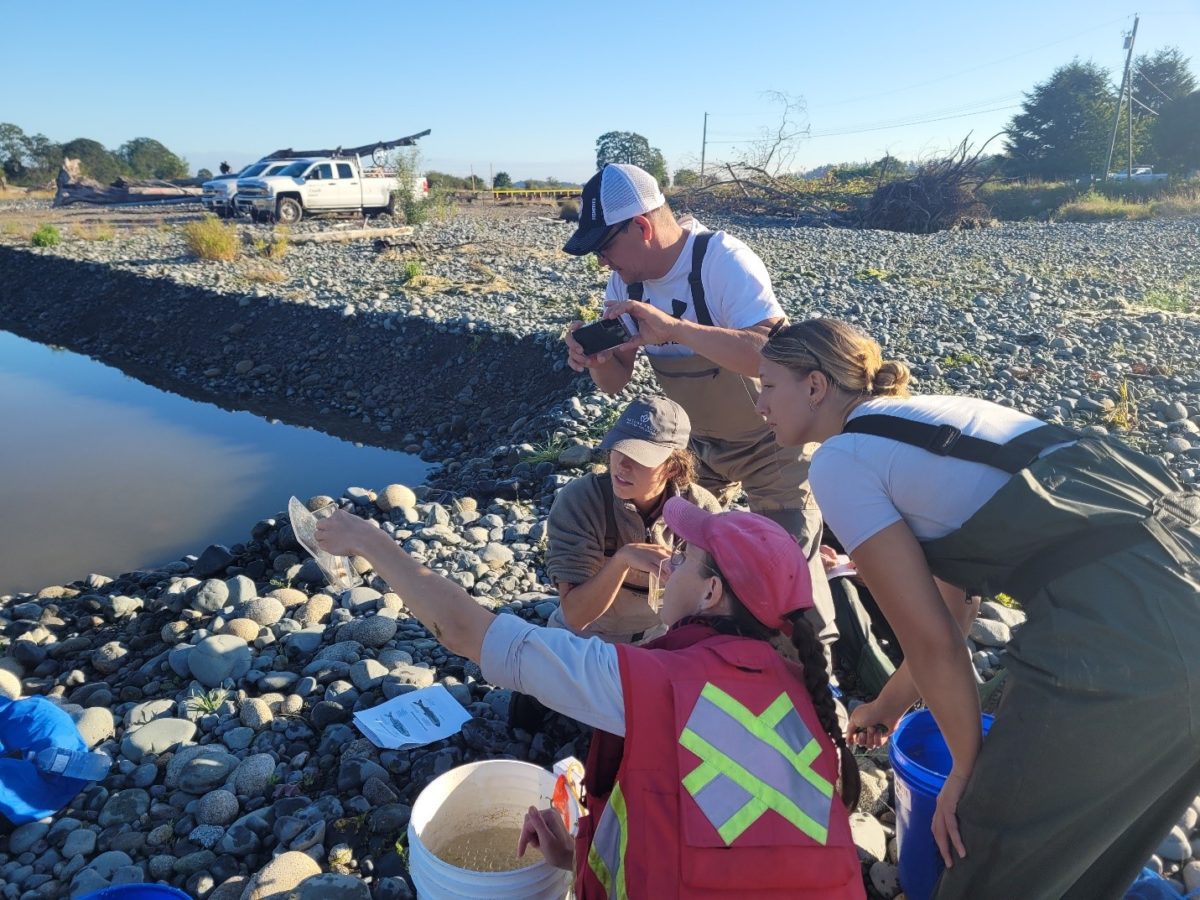 Restoring the Nanaimo River Estuary - The Nature Trust of British Columbia